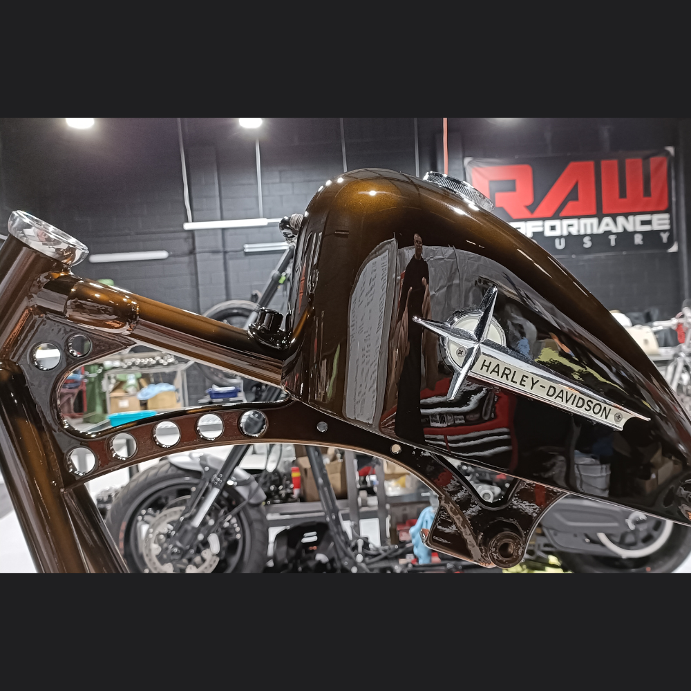 Custom Bikes – TurboCycle